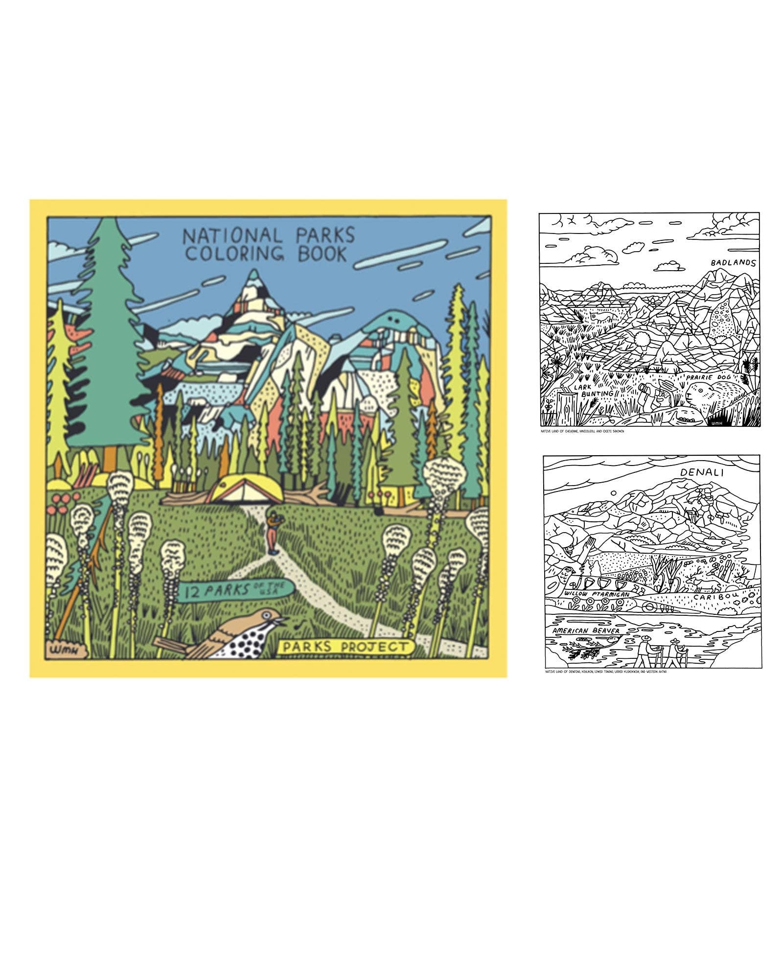 Parks Project - Our National Parks Coloring Book – Dharma + Dwell