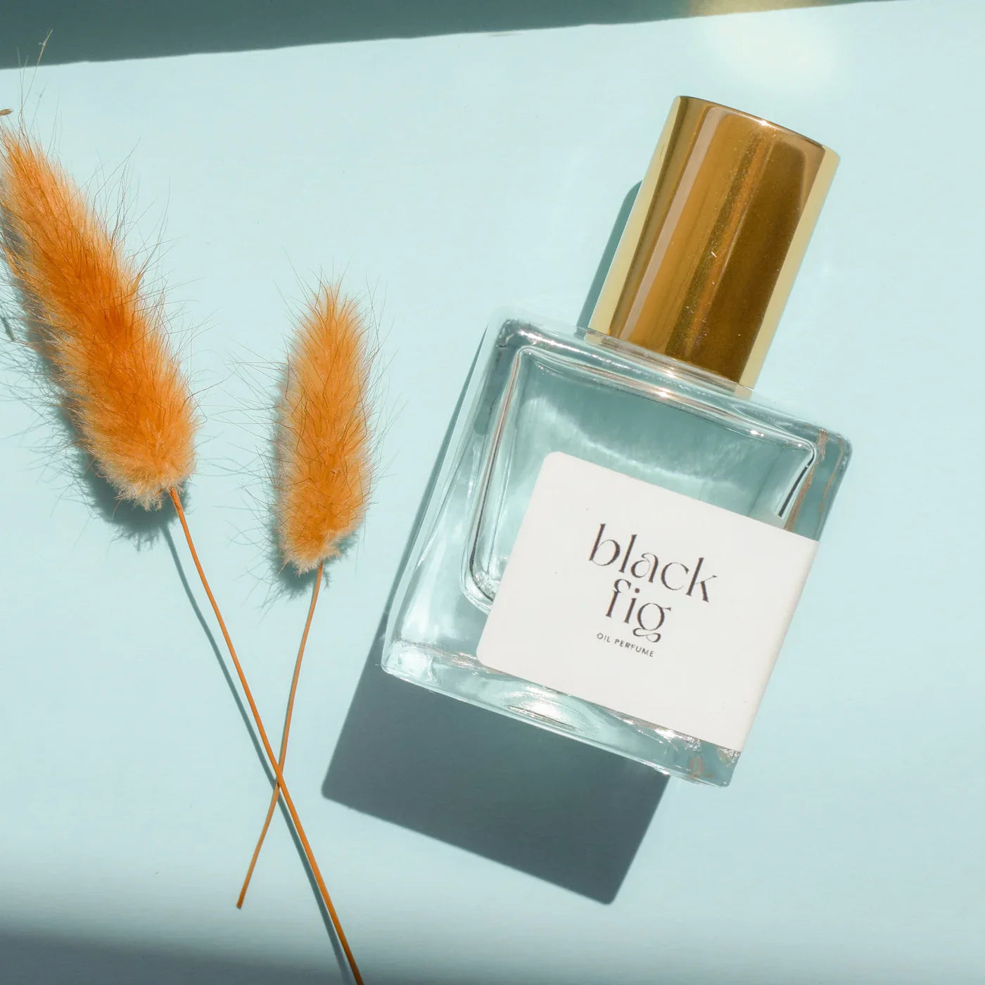 Fragrance – Dharma + Dwell